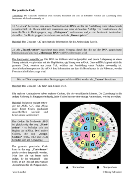 7.6 Von der DNA zum Merkmal