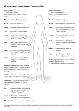 Vegetatives Nervensystem – Sympathikus und Parasympathikus