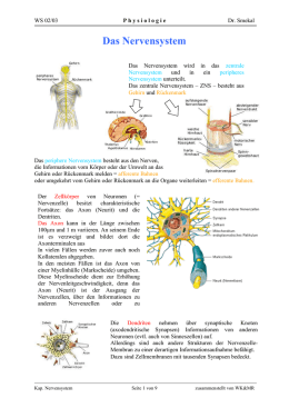 Wirkungen von Sympathikus und Parasympathikus