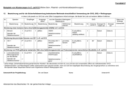 Formblatt Z - Beispiel Aufzeichnung Lentiviren