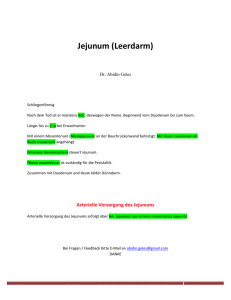 Anatomie Verdauungstraktes