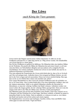 Löwe | Tierlexikon für Kinder - Archiv | SWR Kindernetz OLI`s Wilde