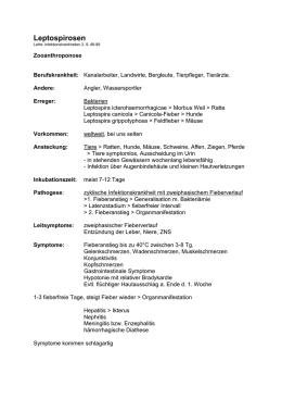 Krankheit Leptospirose Steckbrief Infektionserreger
