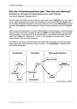 7.6 Von der DNA zum Merkmal