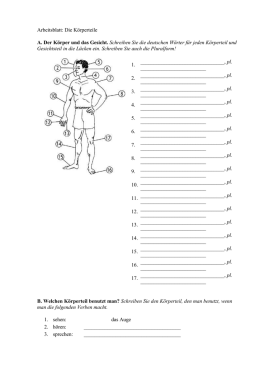 Arbeitsblatt: Die Körperteile A. Der Körper und das Gesicht