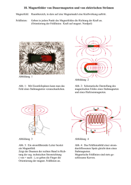 Magnetismus