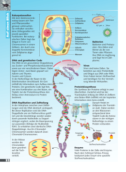 7.6 Von der DNA zum Merkmal