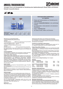 Ingel-Mamyzin® abcd