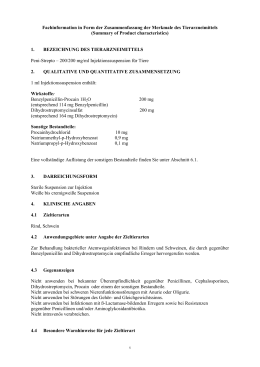 Ursoferran 200 mg/ml - Serumwerk Bernburg AG